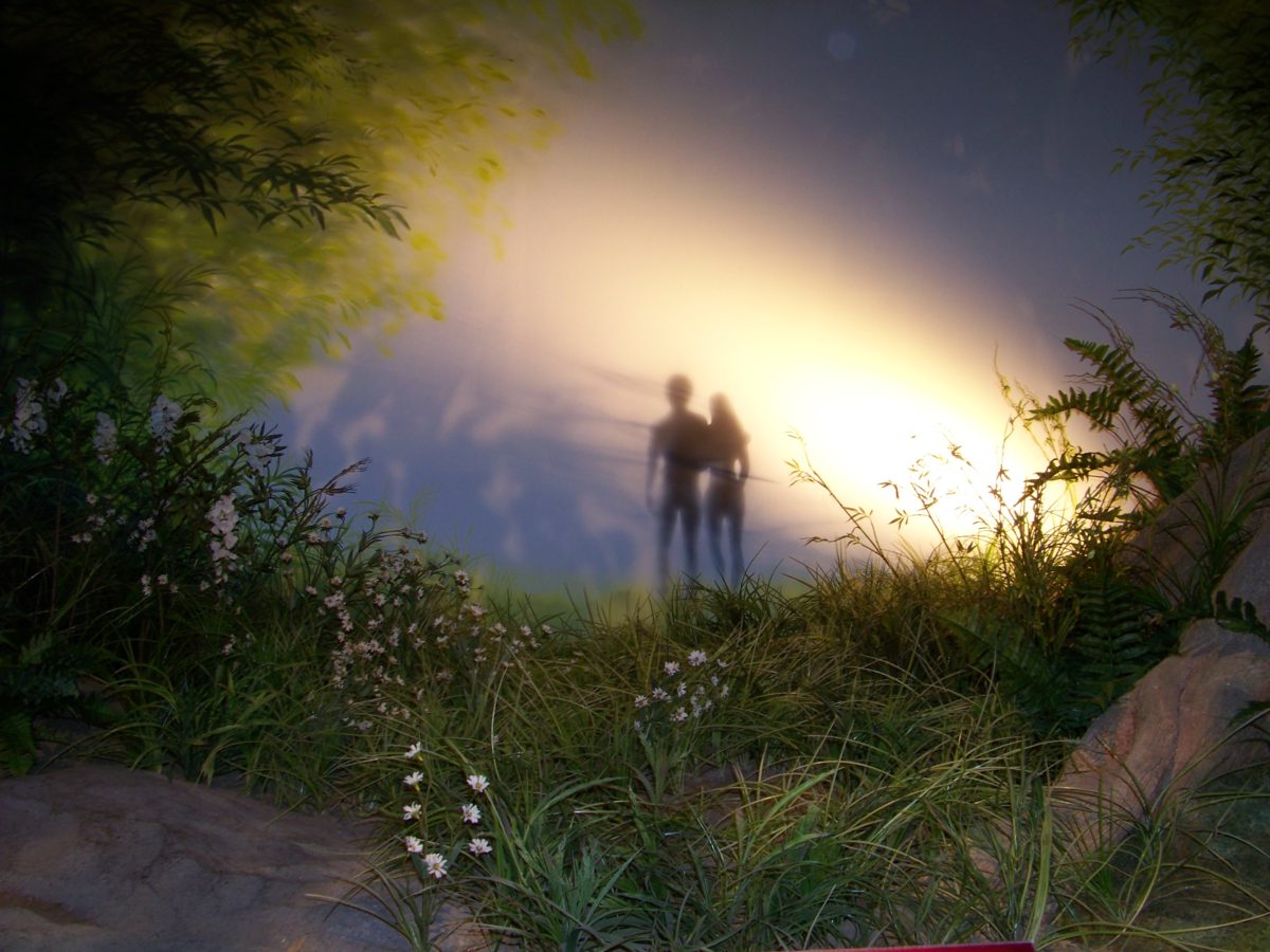 Adam and Eve hide - Darrow Miller and Friends